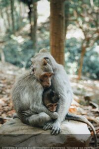 Comprendre le code ape pour les entreprises événementielles : tout ce ...